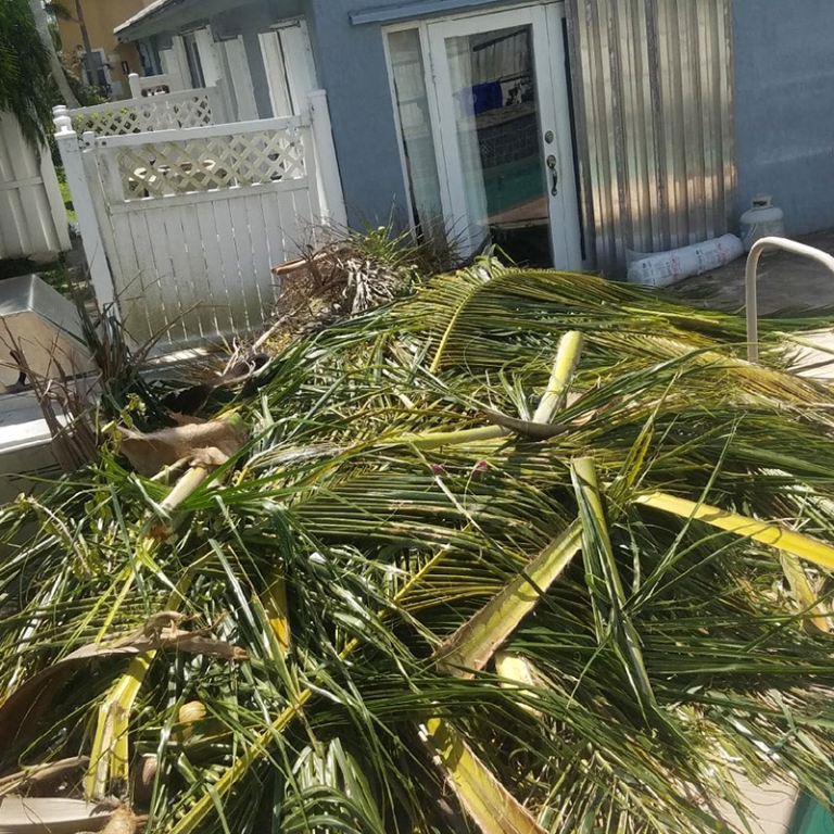 Jack's Junk Removal Fort Lauderdale | Cleanouts & Trash Cleanup